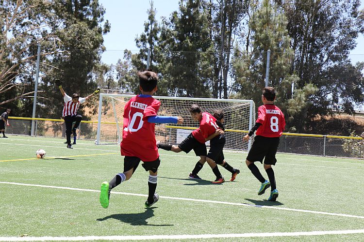 VOX POPULI: AB 749: A Key Moment for Youth Sports in California - The ...